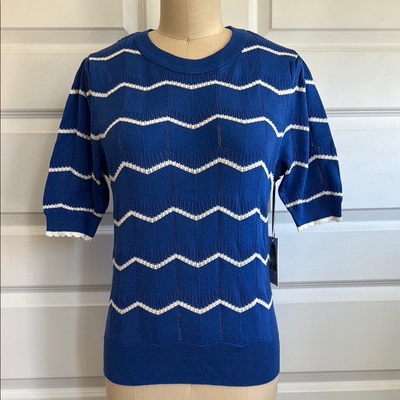 Jaclyn Smith | Tops | Chic Blue And White Chevron Knit Top | Poshmark